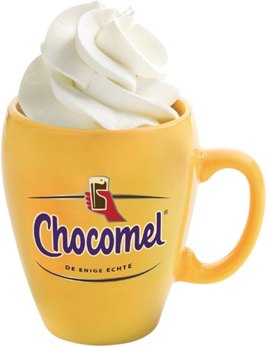 Chocolademelk Chocomel blik 250ml AtmR Online